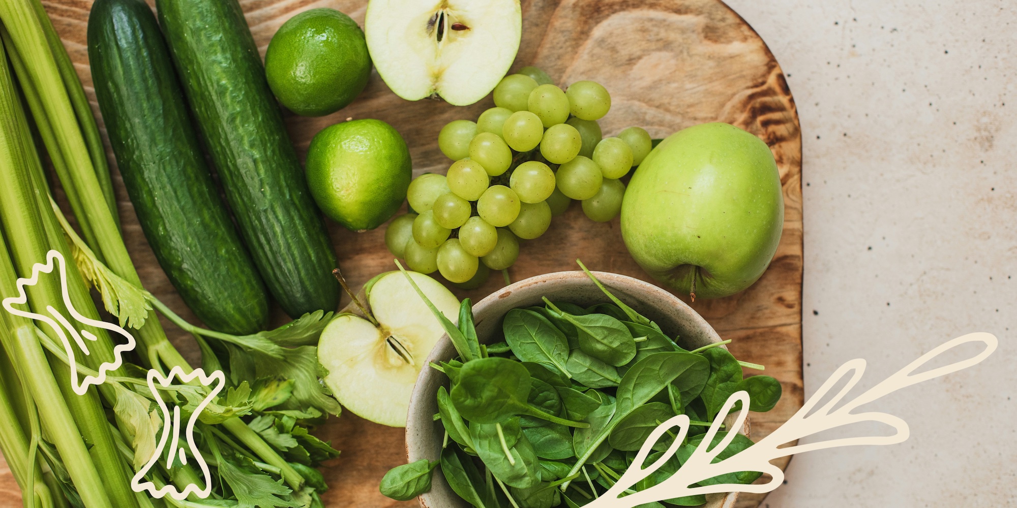 Näytteilleasettajat - Lakeus Kokkaa